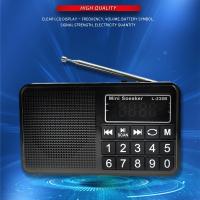 China TF Card USB Long Range Portable Radio 3.7V 300MAh Rechargeable Radio Am Fm Portable for sale