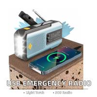 China OEM Portable 2000mAh Plastic Power Bank LED USB Charge Audio AM/FM/NOAA Weather Radio SOS Alarm Hand Crank Emergency Flashlight for sale