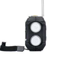 China Multifunction SOS Alarm Flashlight Noodradio FM AM Portable Emergency 5000mAh Charger Power Bank Hand Crank Solar Plastic Radio for sale