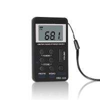 China Hot AM FM Portable Mini Pocket Radio with Clock Internet Radio Rechargeable Battery Built-in Speaker & Digital Tuning for sale