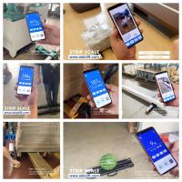 China Portable Bluetooth Pallet Beam Scale with 1500kg Capacity for Industrial Weighing for sale