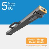 China High Performance Pallet Beam Scale for Logistics and Warehousing with Blue Tooth Printer for sale