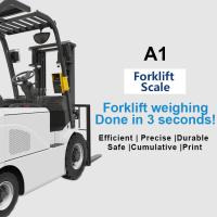 China Professional 5000kg Capacity Digital Forklift Scales with ±1% Accuracy and IP53 Protection Forklift Weight Indicator for sale