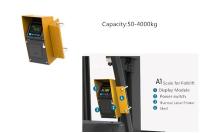 China Material Handling Digital Forklift Weighing Scales with Automatic Measure Method for sale