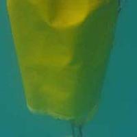 China Suspension Auto Leveling Lift Air Bag Marine Silent Air Lift Bags for sale