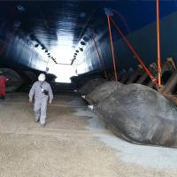 China Inflatable Marine Airbags Heavy Duty Reinforced Layers Superior Load Capacity for sale
