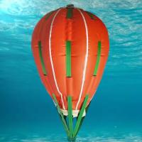 China Marine Salvage Lift Bag Heavy Duty Design Corrosion Resistant Long Service Life Underwater Lift Bag for sale
