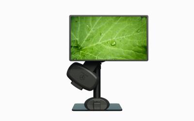 China Button Control Monitor Mount Stand To Prevent Neck Pain for sale