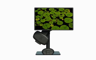 China Black Electric Lifting Rotating Monitor Laotop Arm Bracket To Prevent Neck Stiff for sale
