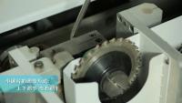 China Cnc Beam Saw Machine Wood Panel Cutting Machine Mass Furniture Mdf Panel Saw for sale