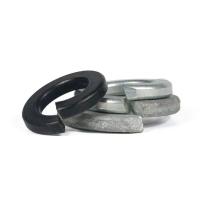 China All-Size China Wholesale High Quality M3 M2 M5 M6 M18 DIN127 Round Stainless Steel Dish Wave Spring Lock Washer for sale
