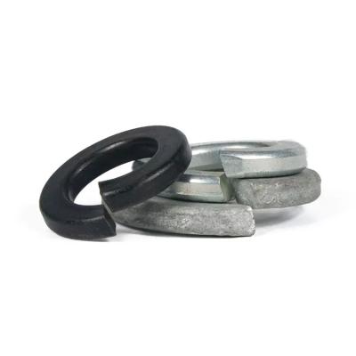 China All-Size China Wholesale High Quality M3 M2 M5 M6 M18 DIN127 Round Stainless Steel Dish Wave Spring Lock Washer for sale