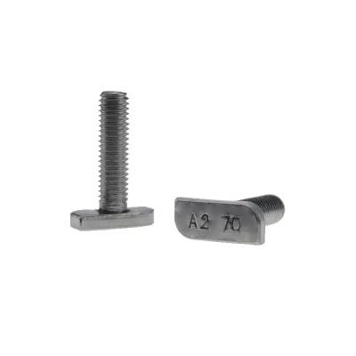 China Hardware Fasteners 304 Stainless Steel M8 M6 T Head Track Bolt For Aluminium Profile for sale