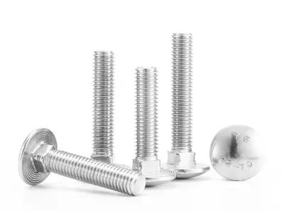 China Mass Customization Stainless Steel Bolt And Nut Din603 M6 M8 M10 M12 Carriage Bolt Screw Fasteners for sale