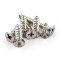 China Flat Head Cross Self Tapping Screws Countersunk Head Self Tapping Screws 201 Stainless Steel for sale