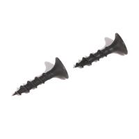 China Patta Malibu Fasteners Coarse Fine Thread 1-1/4 Hidden Camera Drywall Screw for sale
