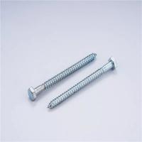 China Annealed Self Tapping Fasteners Stainless Steel Hex Head Screw for sale