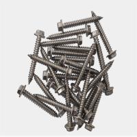 China Hex Head Wood Screw Steel Screw Zinc Plated Wood Screw Din571 for sale