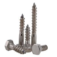 China DIN571 Galvanized Stainless Steel SS304 SS316 Hex Head Wood Screw Lag Bolt for sale