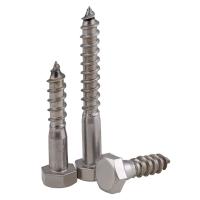 China Stainless Steel Plated Carbon Steel DIN571 Hex Head Wood Screw for sale