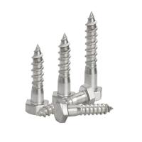 China M6 Din571 300Mm Ss Coach Screw Self Tapping Hexagon Flat Hex Head Wood Screws for sale