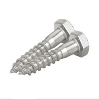 China Self Tapping Hexagon Flat Hex Head M6 Din571 300mm Ss Stainless Steel Coach Screw for sale