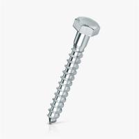 China DIN571 Stainless Steel SS304 SS316 Hexagon Head Wood Screw Tension Bolt for sale