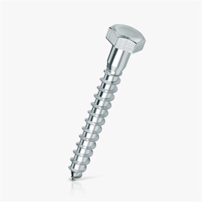 China DIN571 Stainless Steel SS304 SS316 Hexagon Head Wood Screw Tension Bolt for sale