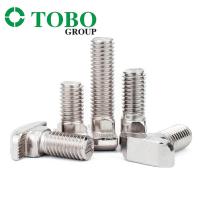 China Super Duplex 2205 2507 T Head Track Bolts M8 M10 High Strength Stainless Steel Fasteners for sale