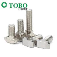 China Super Duplex 2205 2507 T Head Track Bolts M8 M10 High Strength Stainless Steel Fasteners for sale