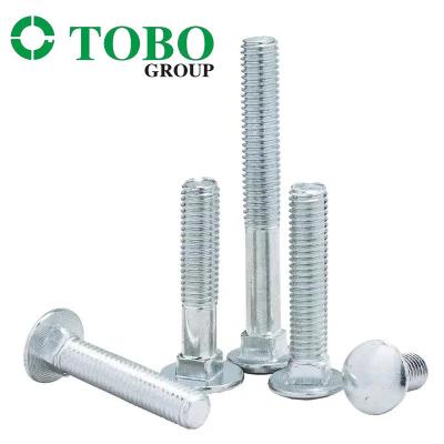 China Round Head Square Neck Carriage Bolt DIN603 Stainless Steel 304 316 for sale