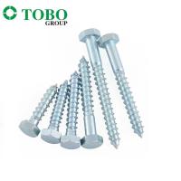 China China  Hign Quality DIN571 Hexagon Head Wood Screw Coach Lag Screw for sale