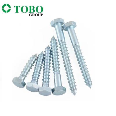 China China  Hign Quality DIN571 Hexagon Head Wood Screw Coach Lag Screw for sale