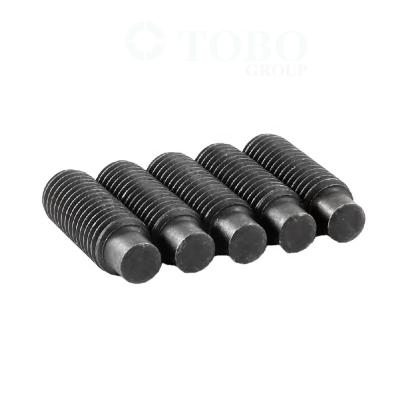 China DIN915 Grade 12.9 Black Oxide 45H Alloy Steel Hex Socket Grub Screws With Dog Point for sale