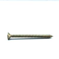 China M2*40 Stainless Steel 316L Self Tapping Metal Screws For Convenient Fastening Solution for sale