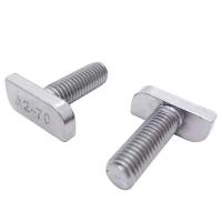 China SS2205 2507 M8 M10 T Head Track Bolt Super Duplex Stainless Steel Hardware Fasteners for sale