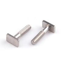 China Square Hammer Flat Head T Bolt Super Duplex Stainless Steel 2205 2507 Cold Forging for sale