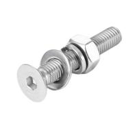 China Din7991 2205 / 2507 Hex Socket Screw With Nuts And Washer Full Thread Hot Sell Fasteners for sale