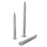 China Flat Head Round Nut Bolt Anchor with Yellow/Blue White Finish for sale