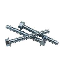 China Custom Round and HEX Head Concrete Screws with As Requirement Capacity for sale