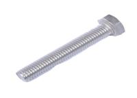 China Polished Stainless Steel Hex Bolts Grade 8.8 NPT Thread Pitch 1 120mm Length for sale