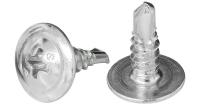 China M48 Stainless Steel Metal Screws 4.8 JIS Stainless Steel Self Tapping Screws for sale