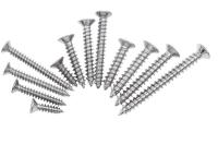 China SS314 Stainless Steel Metal Screws M4 SGS Wood Nail Screw for sale