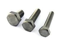 China Anodizing M8 T20 Electronic Stainless Steel Bolts DIN934 for sale