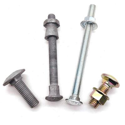 China Countersunk Carriage Bolts 10g 25mm Perfect For Heavy-Duty And Stress Applications for sale