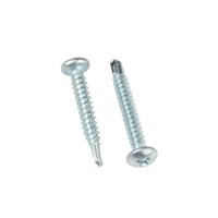 China Hardware Tools Carbon Steel Cross Pan Head Drilling Nails Screw for sale
