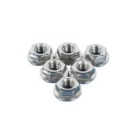 China High Quality Stainless Steel 304 316 DIN6923 Hex Serrated Flange Nut for sale