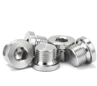China M12 M14 Stainless Steel Ss304 Hex Socket Screw Plug DIN908 for sale