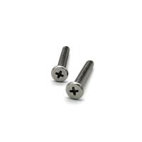 China Wholesale Galvanised Phillips Hexagon Head Tek Wood Metal Stainless Steel 304 Flat Head Machine Screw for sale