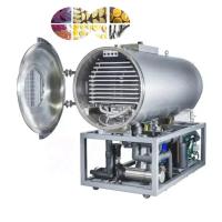 China 70mm Commercial Vacuum Food Freeze Dryer Machine 300kgs For Fruit And Vegetable for sale